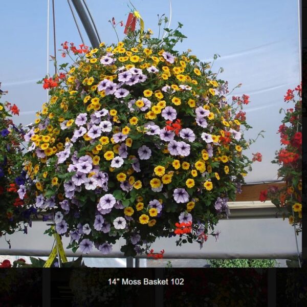 14 inch moss flower basket-101 - Delaney's Landscape Center