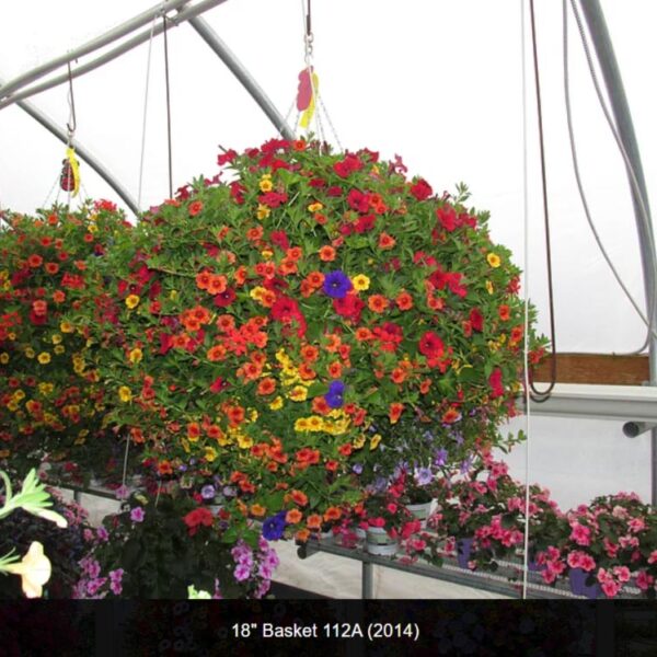 18 Inch Flower Baskets Archives - Delaney's Landscape Center