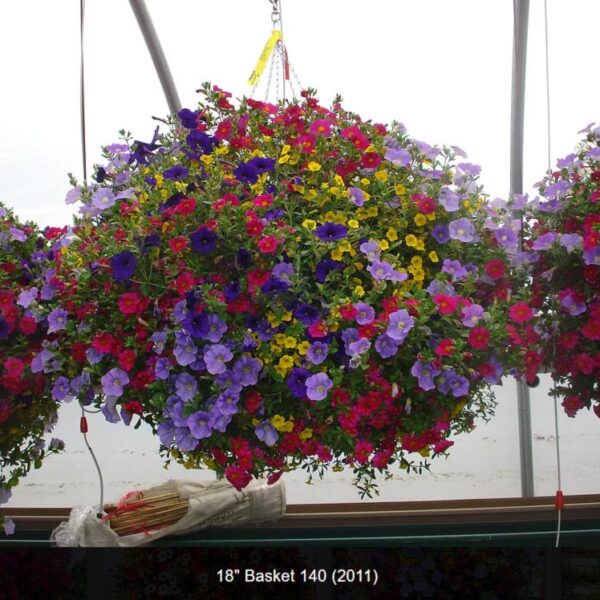 18 Inch Flower Baskets Archives - Delaney's Landscape Center
