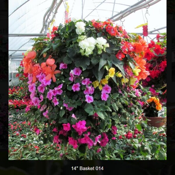 Moss Basket Flower Baskets Archives - Delaney's Landscape Center