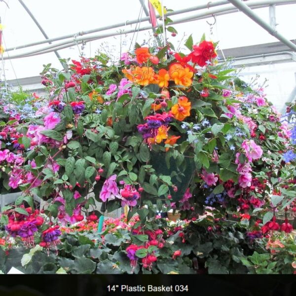 Plastic Flower Baskets Archives - Delaney's Landscape Center